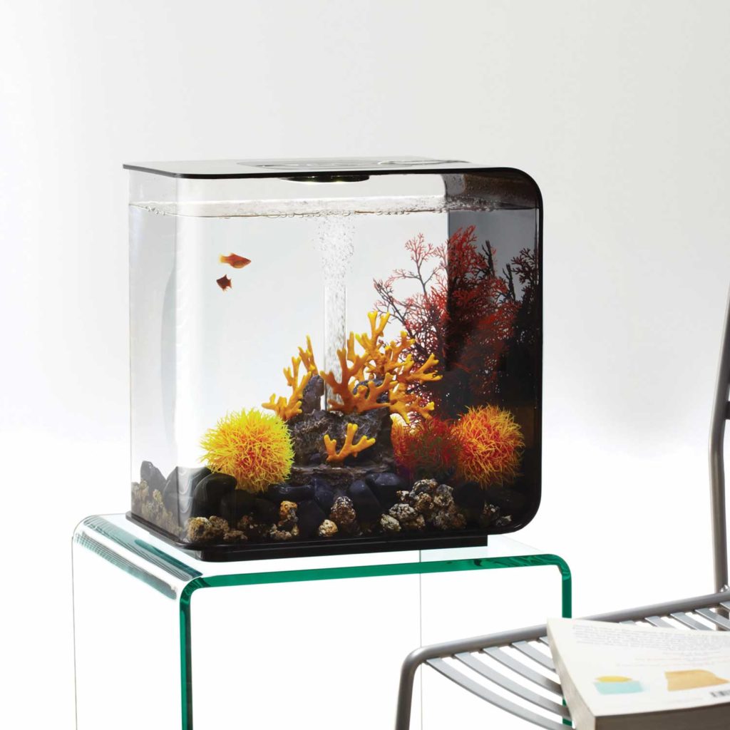 How to Clean Fish Tank Rocks and Substrates - hygger