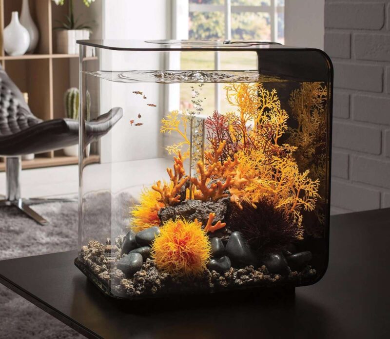How to Clean Fish Tank Rocks and Substrates - hygger