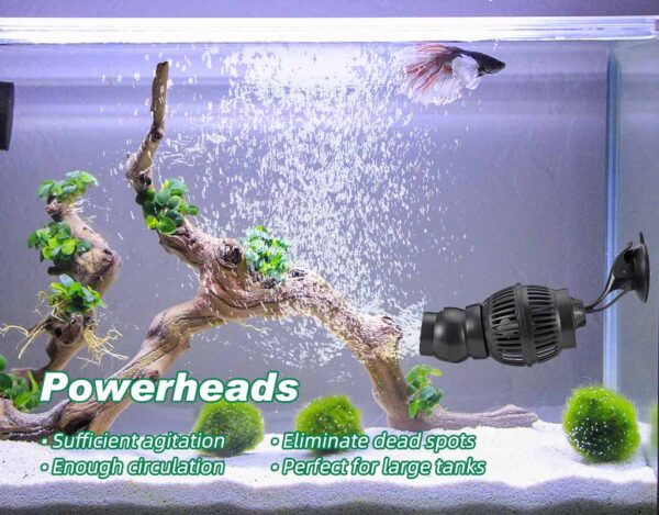 Generic Way of Properly Aerating Your Aquarium - hygger