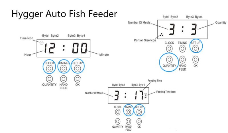 Easy Tricks to Program Fish Feeder for Auto Feeding - hygger