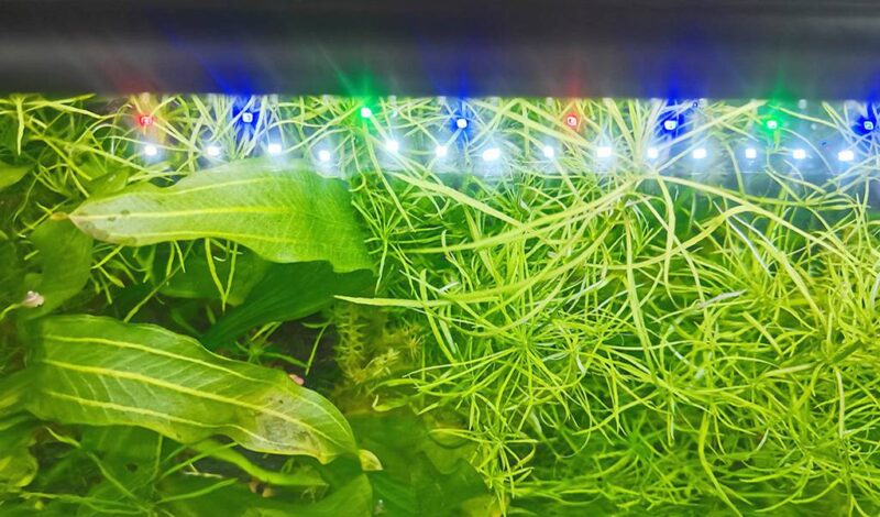 Style Your Boring Old Fish Tank With LED Lights - hygger
