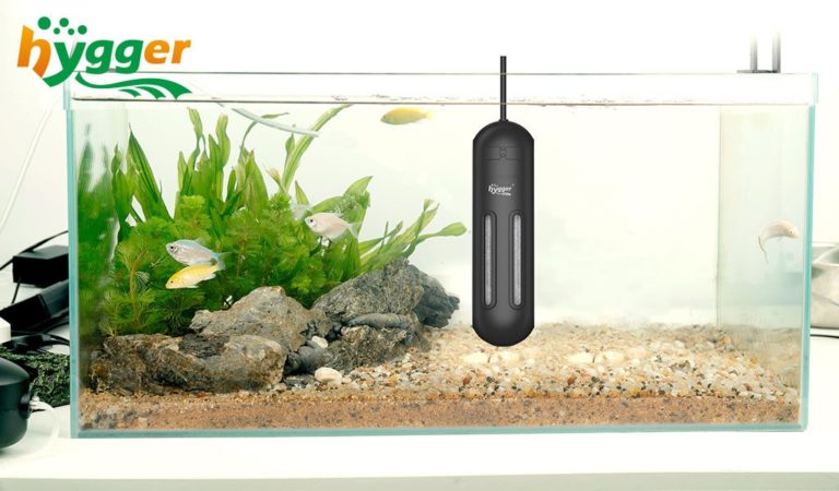 Aquarium Heating Basics Part Two - hygger