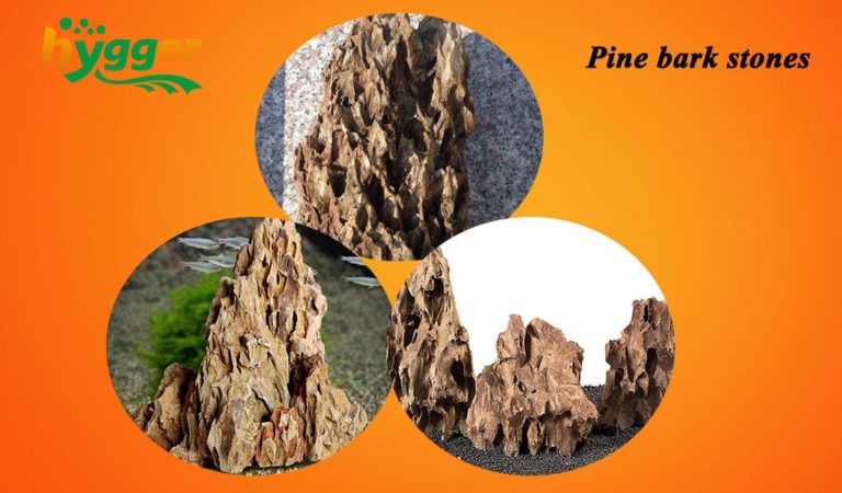 How to Use Pine Bark Stones for Aquascaping - hygger