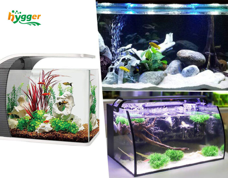 How to Keep a Fish Tank Cool in Hot Weather - hygger