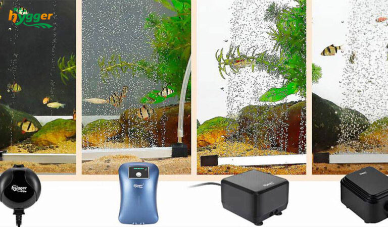How to Make Bubble Curtains in Aquariums - hygger