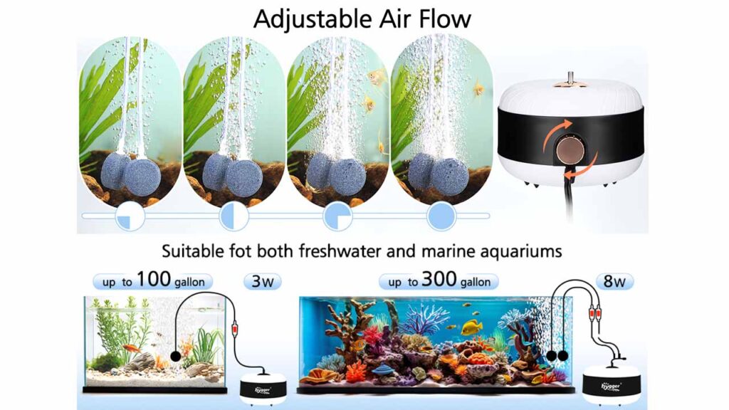 Choose the Right Air Pump Kit For Aquariums - hygger