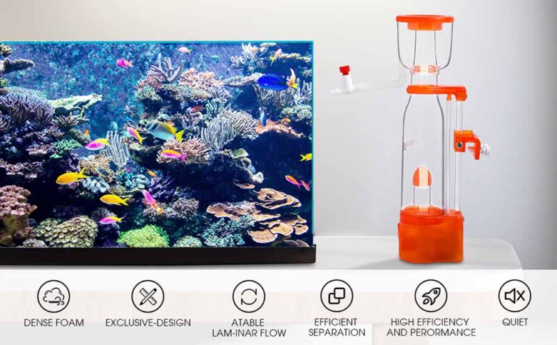 Tune the Protein Skimmer in Marine Aquariums - hygger