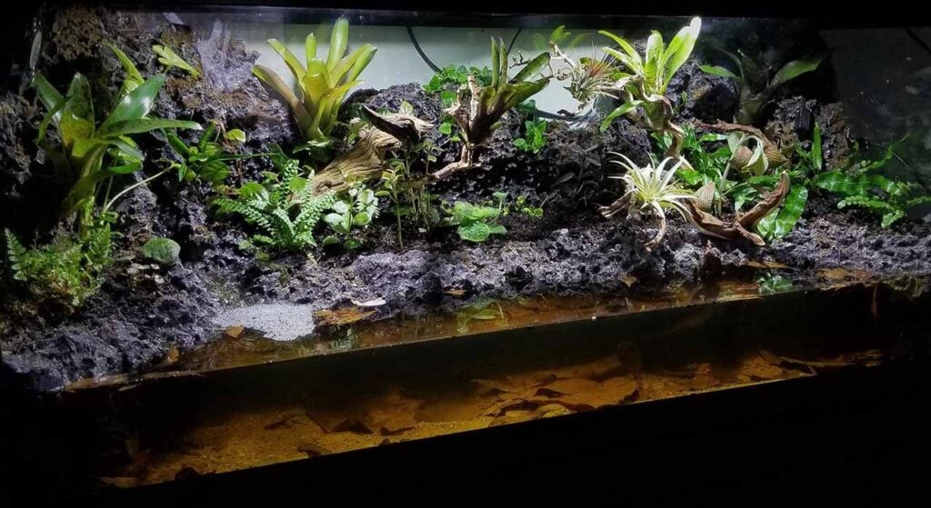 How to Build Reptile Paludarium - hygger
