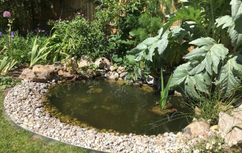 How to Build a Small Pond with Pond Liner - hygger