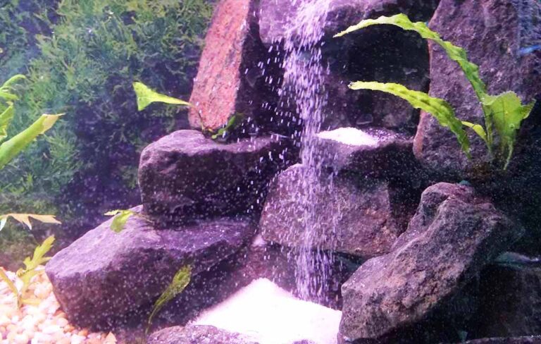 Creating a Cascading Waterfall Inside Your Tank - hygger