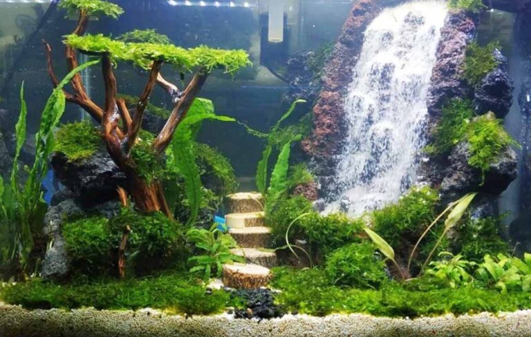 Creating a Cascading Waterfall Inside Your Tank - hygger