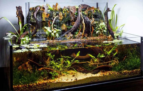 Creating a Cascading Waterfall Inside Your Tank - hygger