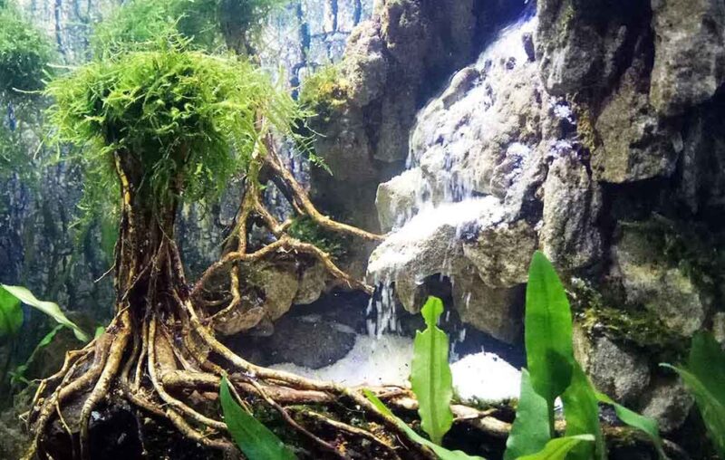 Creating a Cascading Waterfall Inside Your Tank - hygger